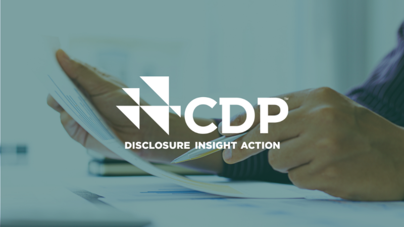 CDP reporting 2024: Key updates & best practices | Greenplaces